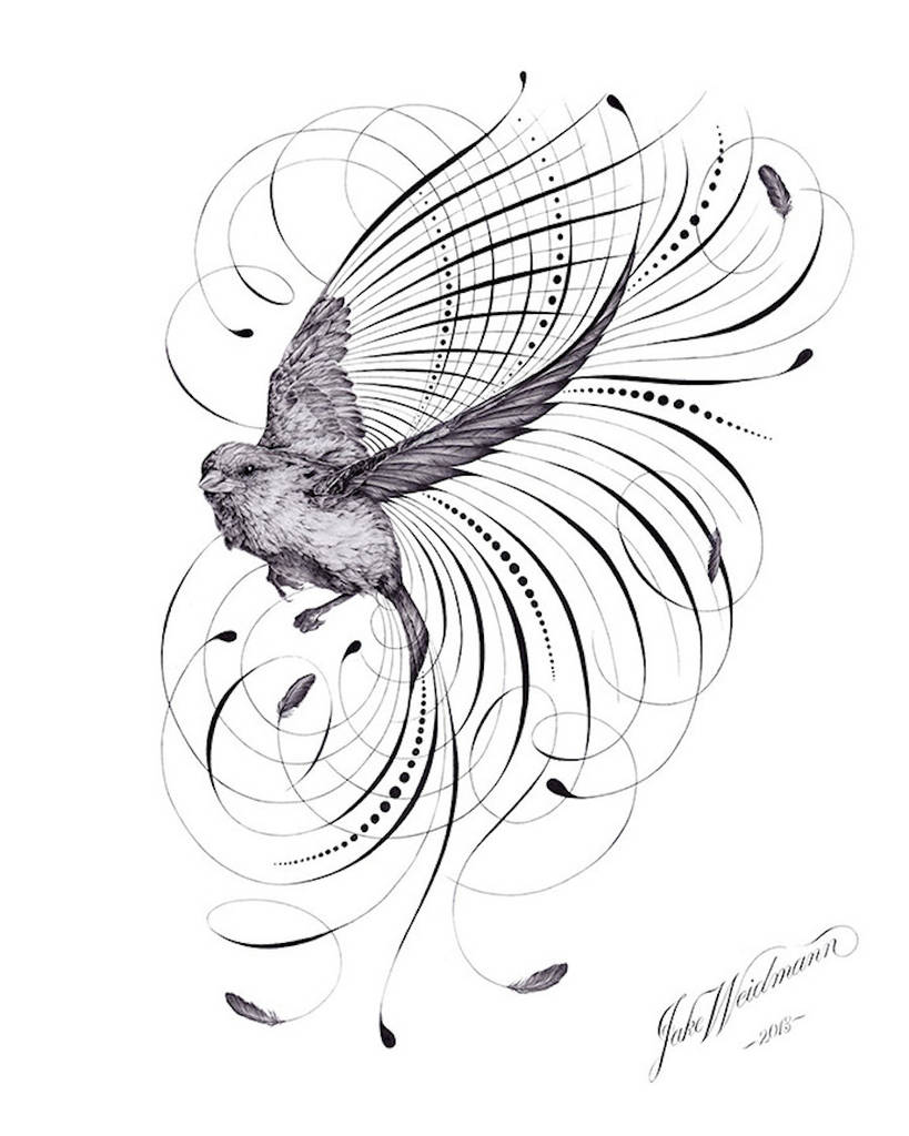 Calligraphy and Drawings Artwork Made with Plume – Fubiz Media
