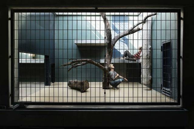 The Human Zoo Series – Fubiz Media