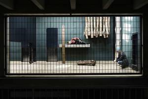 The Human Zoo Series – Fubiz Media