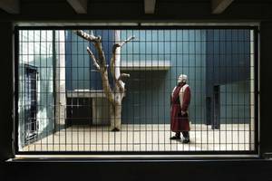 The Human Zoo Series – Fubiz Media