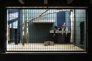 The Human Zoo Series – Fubiz Media