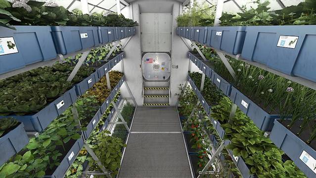 NASA Grows Edible Vegetables in Space – Fubiz Media