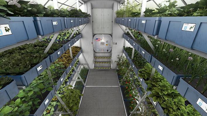 NASA Grows Edible Vegetables in Space – Fubiz Media