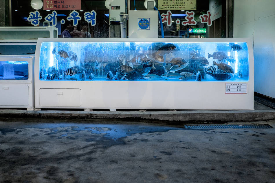 Fish Tanks Photography – Fubiz Media