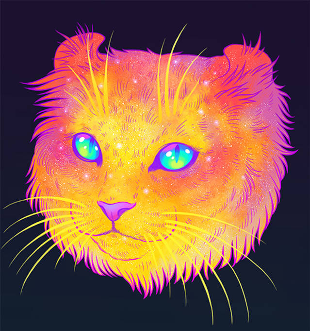 Galactic Cats Series – Fubiz Media