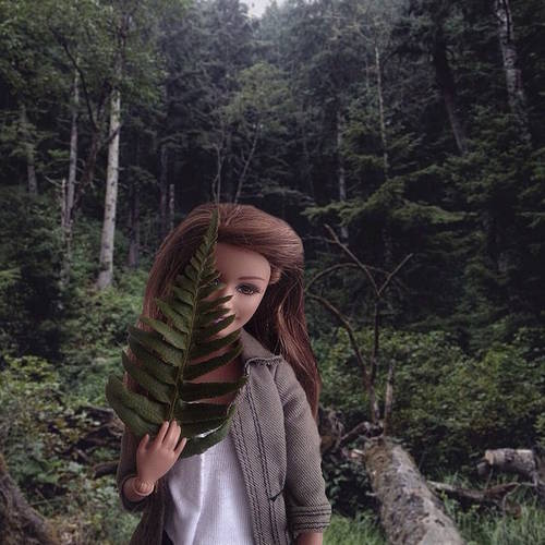 The Instagram Barbie Doll – Fubiz Media
