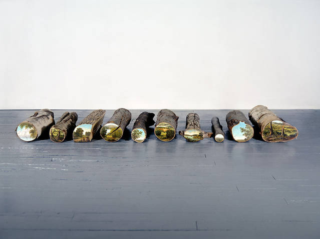Oil Paintings on Fallen Tree Logs – Fubiz Media