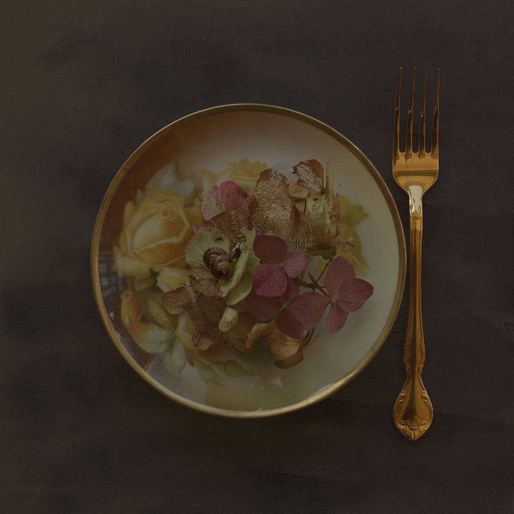 Autumn is Served – Fubiz Media