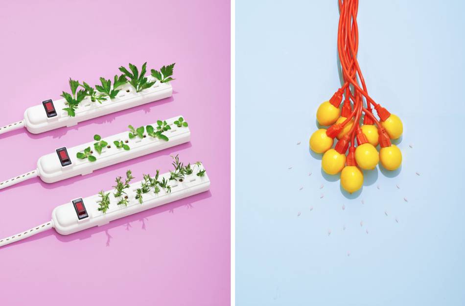 Turning Food into Energy Sources – Fubiz Media