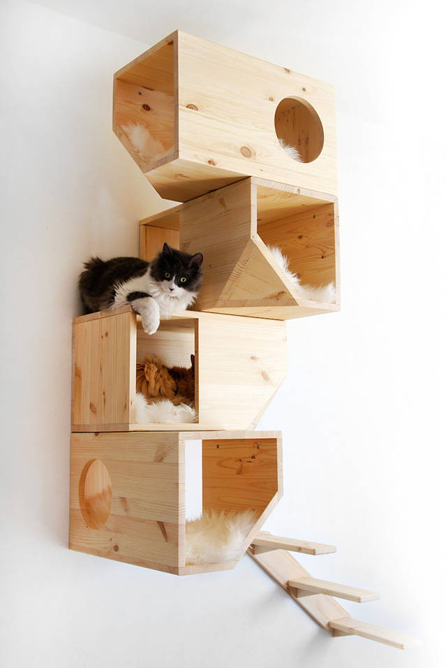 Geometrical Wooden Cat Tree – Fubiz Media