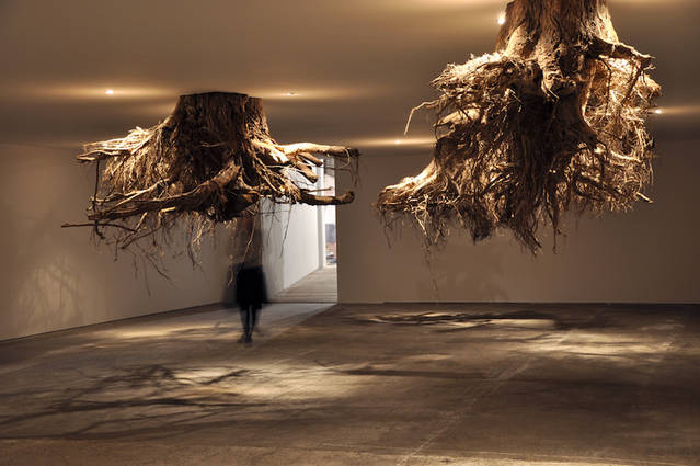Real Tree Roots Chandeliers Installation – Fubiz Media