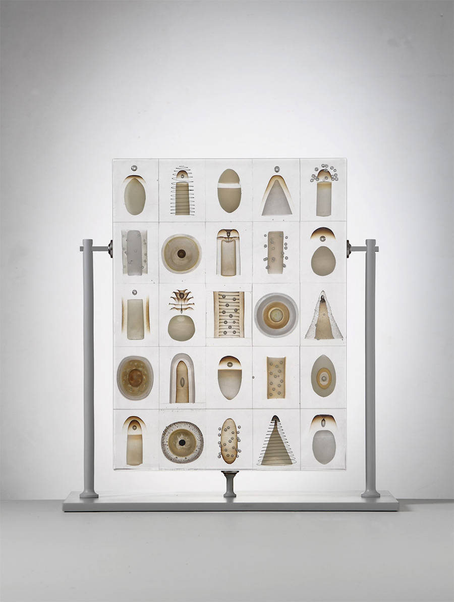 Aquatic Life Specimens Imagined in Glass – Fubiz Media