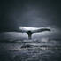 Parallel Reality Series – Fubiz Media
