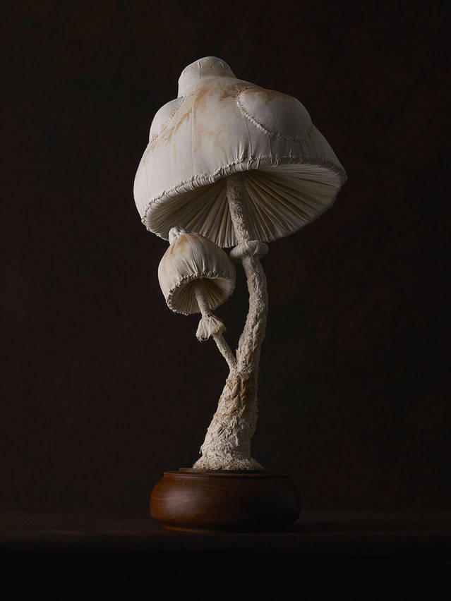 Toadstool Sculptures Crafted from Vintage Textiles – Fubiz Media