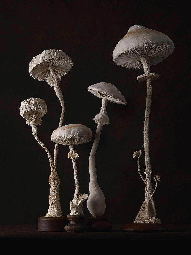 Toadstool Sculptures Crafted from Vintage Textiles – Fubiz Media