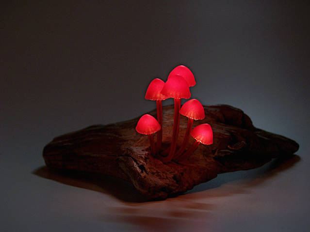 Led Mushroom Lights – Fubiz Media