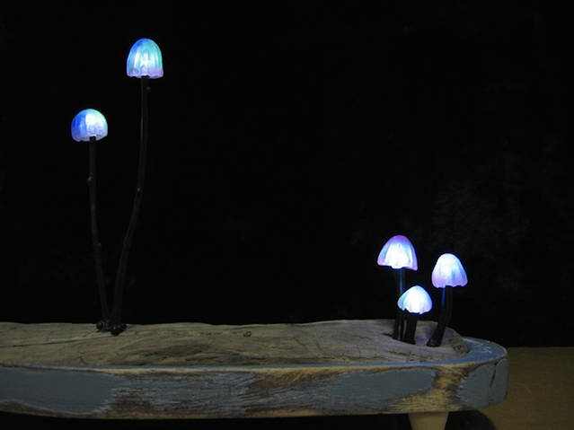 Led Mushroom Lights – Fubiz Media