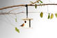 Modular Breakfast Birdhouse – Fubiz Media