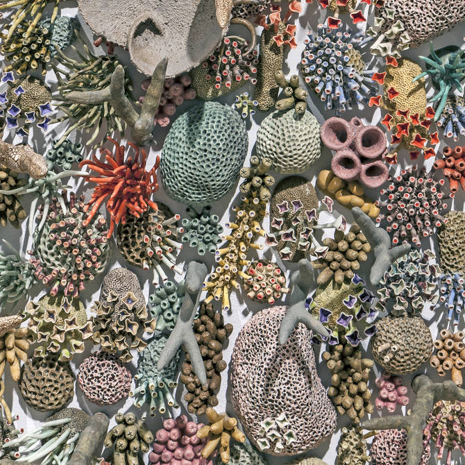 Colorful Ceramic Coral Reefs – Fubiz Media