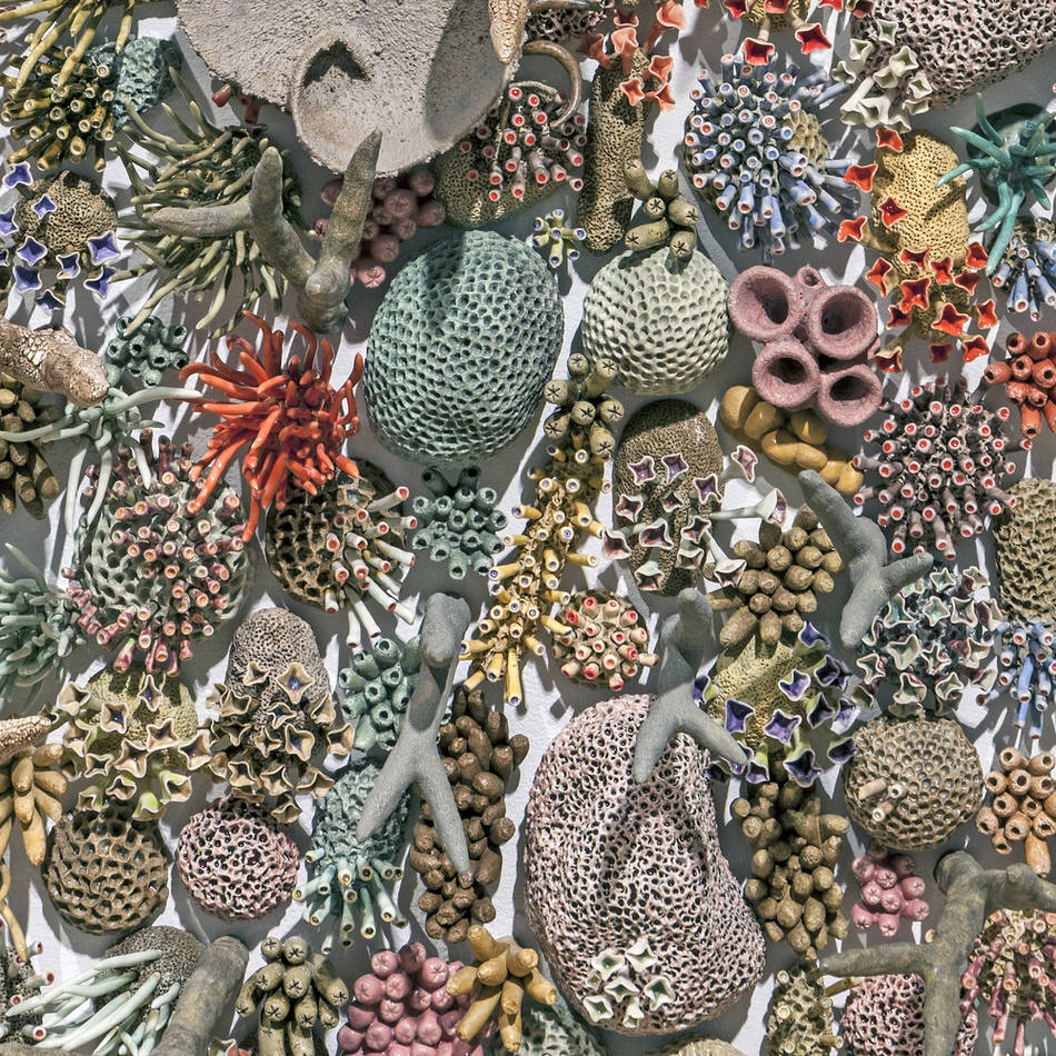 Colorful Ceramic Coral Reefs – Fubiz Media