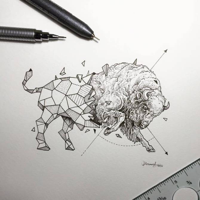 Lovely Half-Geometrical Drawings of Wild Animals – Fubiz Media