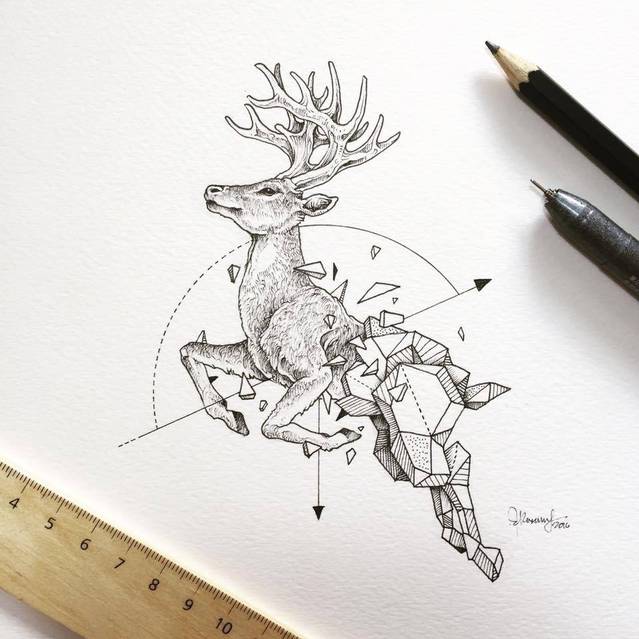 Lovely Half-Geometrical Drawings of Wild Animals – Fubiz Media