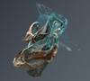 Organic Digital Sculptures by Jon Noorlander – Fubiz Media