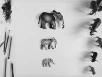 100 Days Hyperrealistic Drawing Project – Fubiz Media