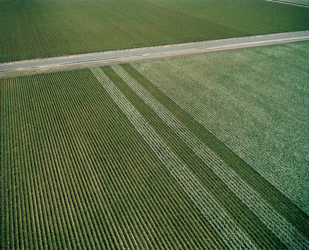 Superb Aerial Photographs of Cotton Farming in Arizona – Fubiz Media