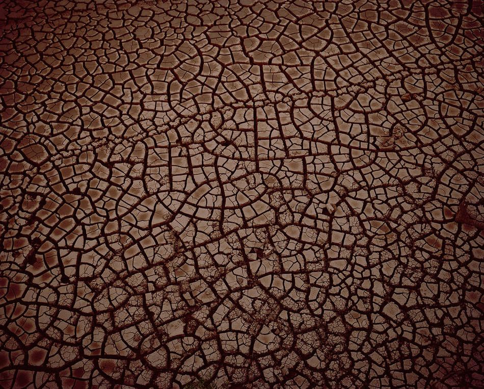 Superb Aerial Photographs of Cotton Farming in Arizona – Fubiz Media