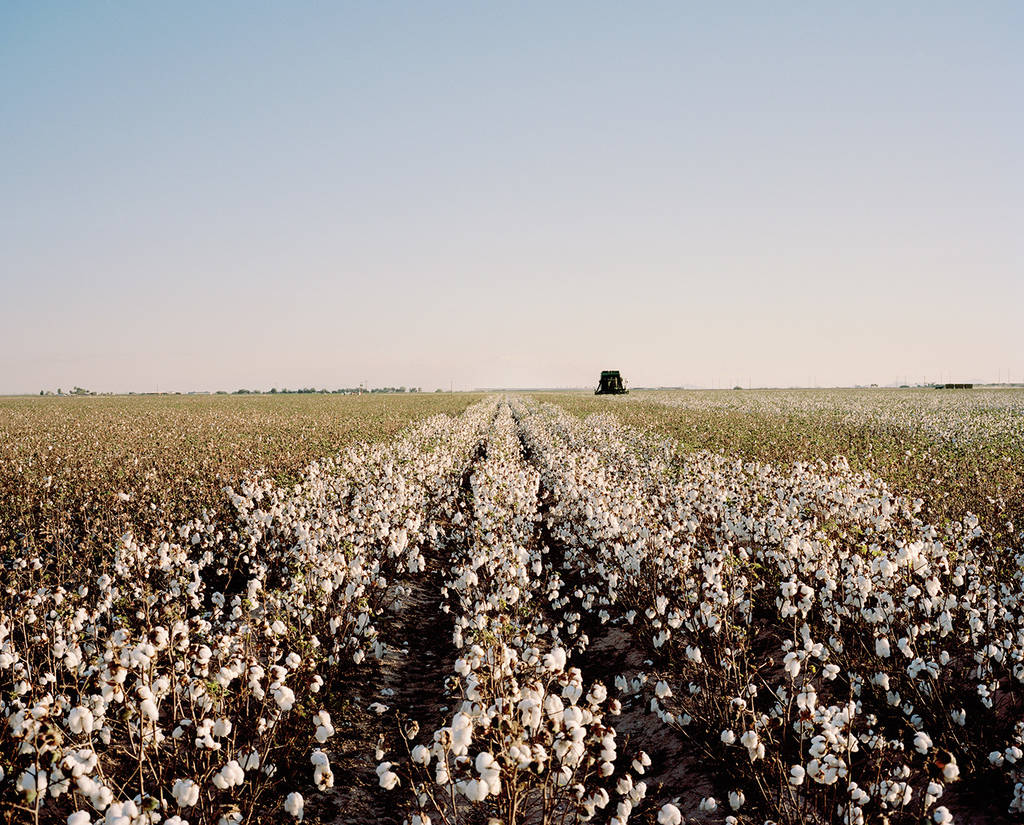 Superb Aerial Photographs of Cotton Farming in Arizona – Fubiz Media