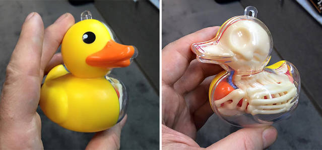 Balloon Animals Revealing Anatomical Details – Fubiz Media