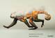 Destroying Nature is Destroying Life Ad – Fubiz Media