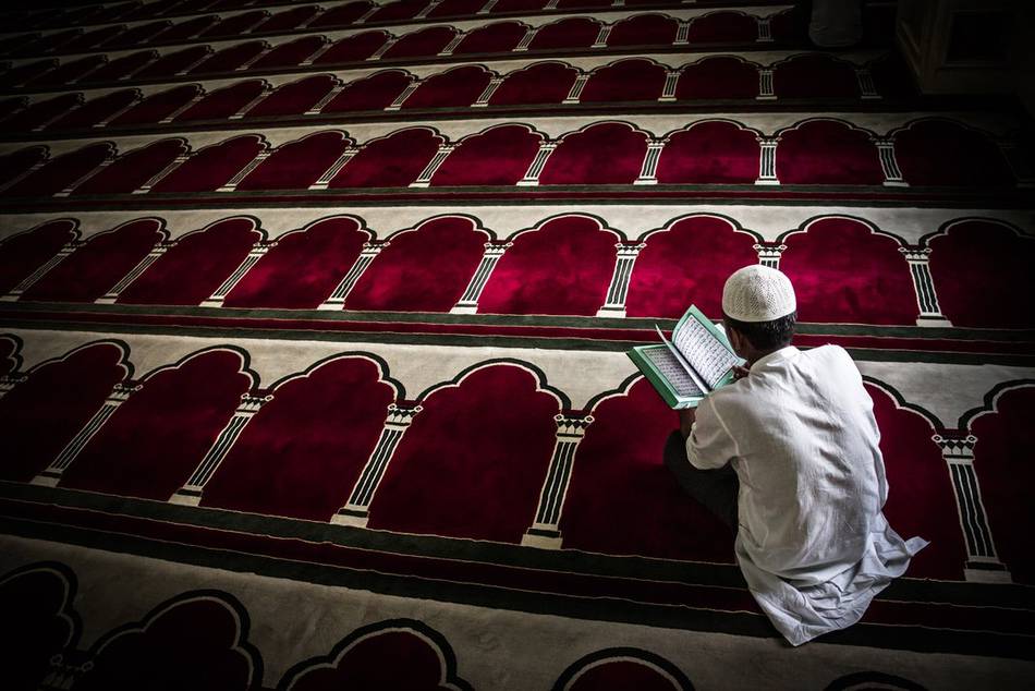 Amazing Pictures for the Annual Smithsonian Photo Contest – Fubiz Media