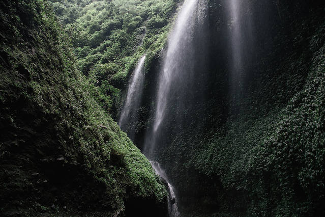 Exploring Java Island – Fubiz Media