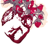 Poetic and Dreamlike Animated Illustrations – Fubiz Media