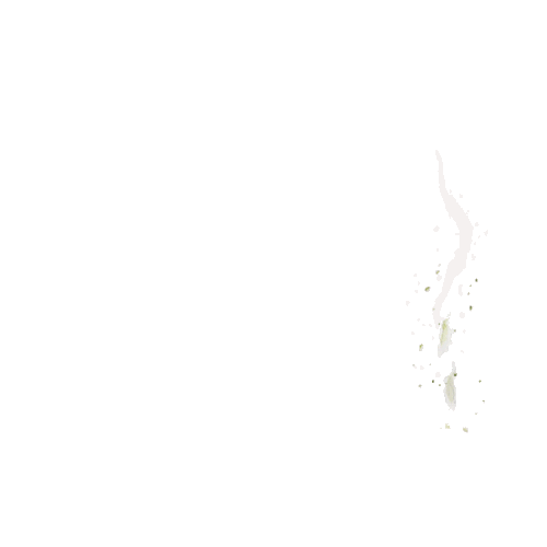 Poetic and Dreamlike Animated Illustrations – Fubiz Media