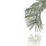 Poetic and Dreamlike Animated Illustrations – Fubiz Media