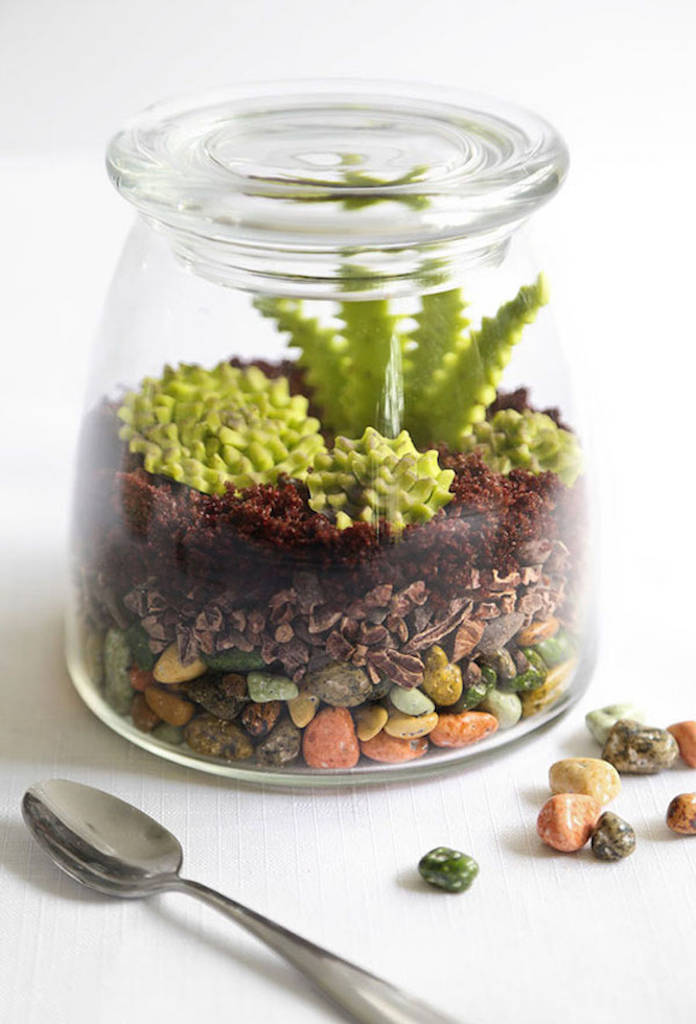Beautiful Edible Terrariums – Fubiz Media