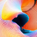Visual Experiments in Color and Repetition – Fubiz Media