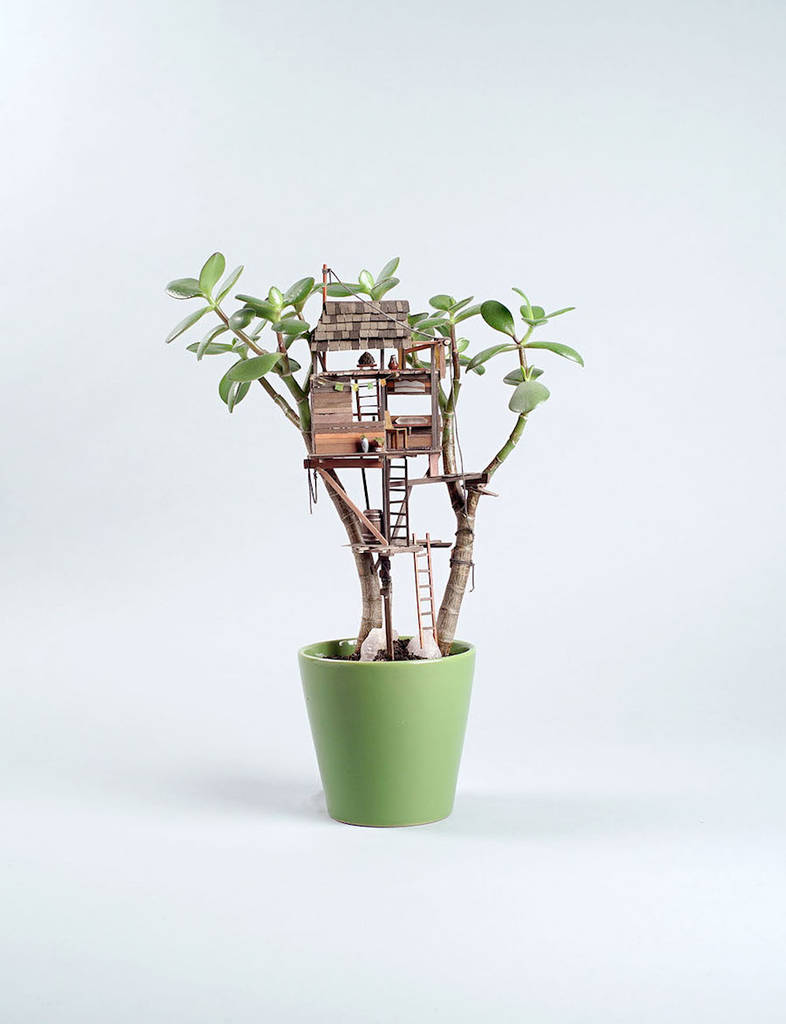 Tiny Wooden Houses Built Around Your Plants – Fubiz Media