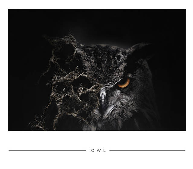 Wild Animals Getting Back to Nature – Fubiz Media