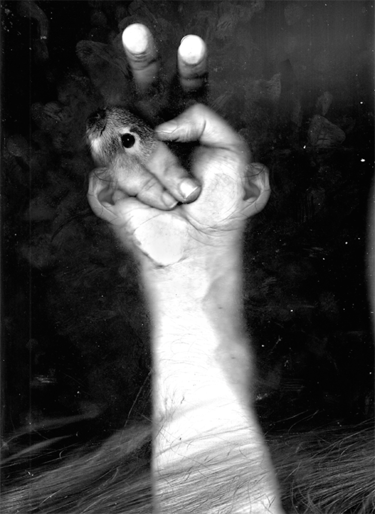 Ethereal Black & White Photography by Biró Roland – Fubiz Media