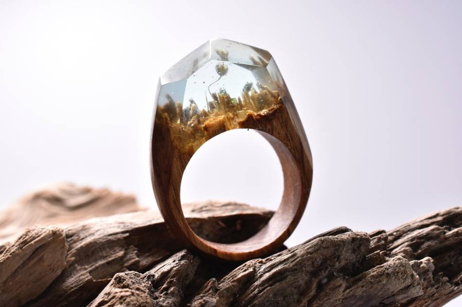 Wooden Rings with Magnificent Tiny Fantasy Landscapes – Fubiz Media