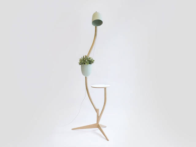 Branch-Out Design – Fubiz Media