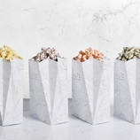 Diz-Diz Popcorn – Fubiz Media