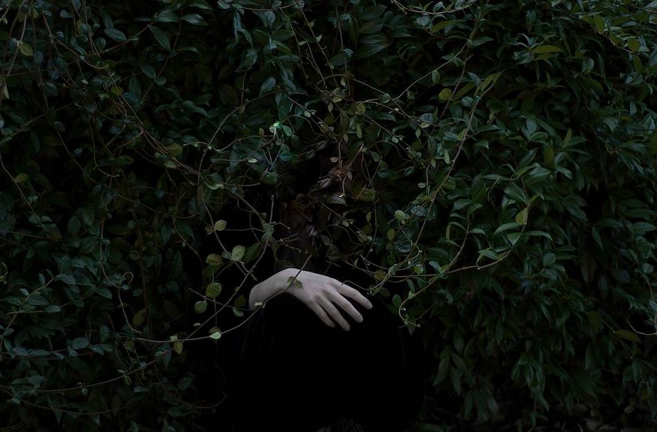 Hidden Beauty Photography – Fubiz Media