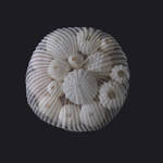 Surprising Sculptures Made with Synthetic Fabric – Fubiz Media