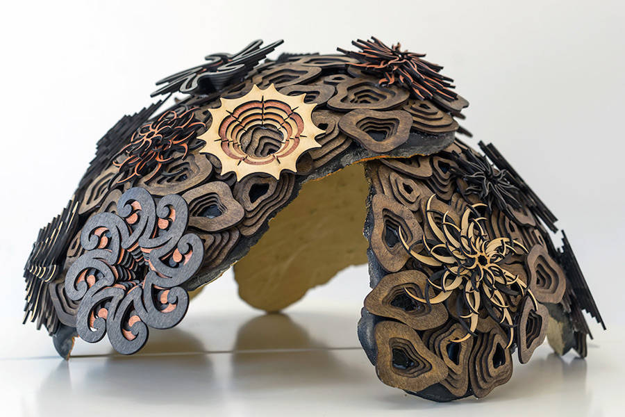 Wooden Spiraling Coral Reefs – Fubiz Media