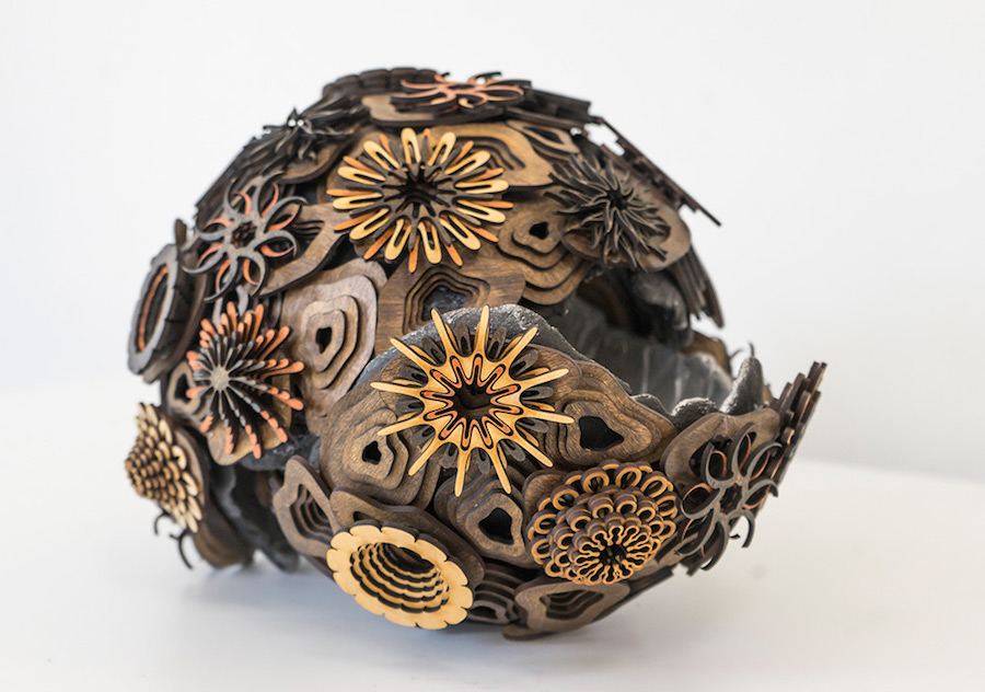 Wooden Spiraling Coral Reefs – Fubiz Media